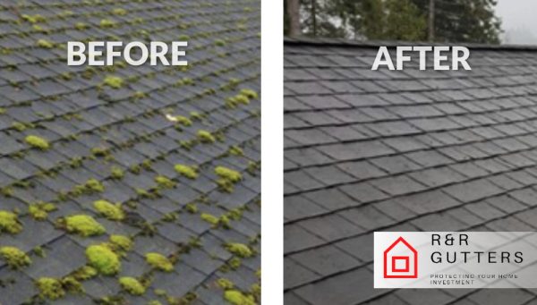 Expert Moss Removal for Roofs | R&R Gutters